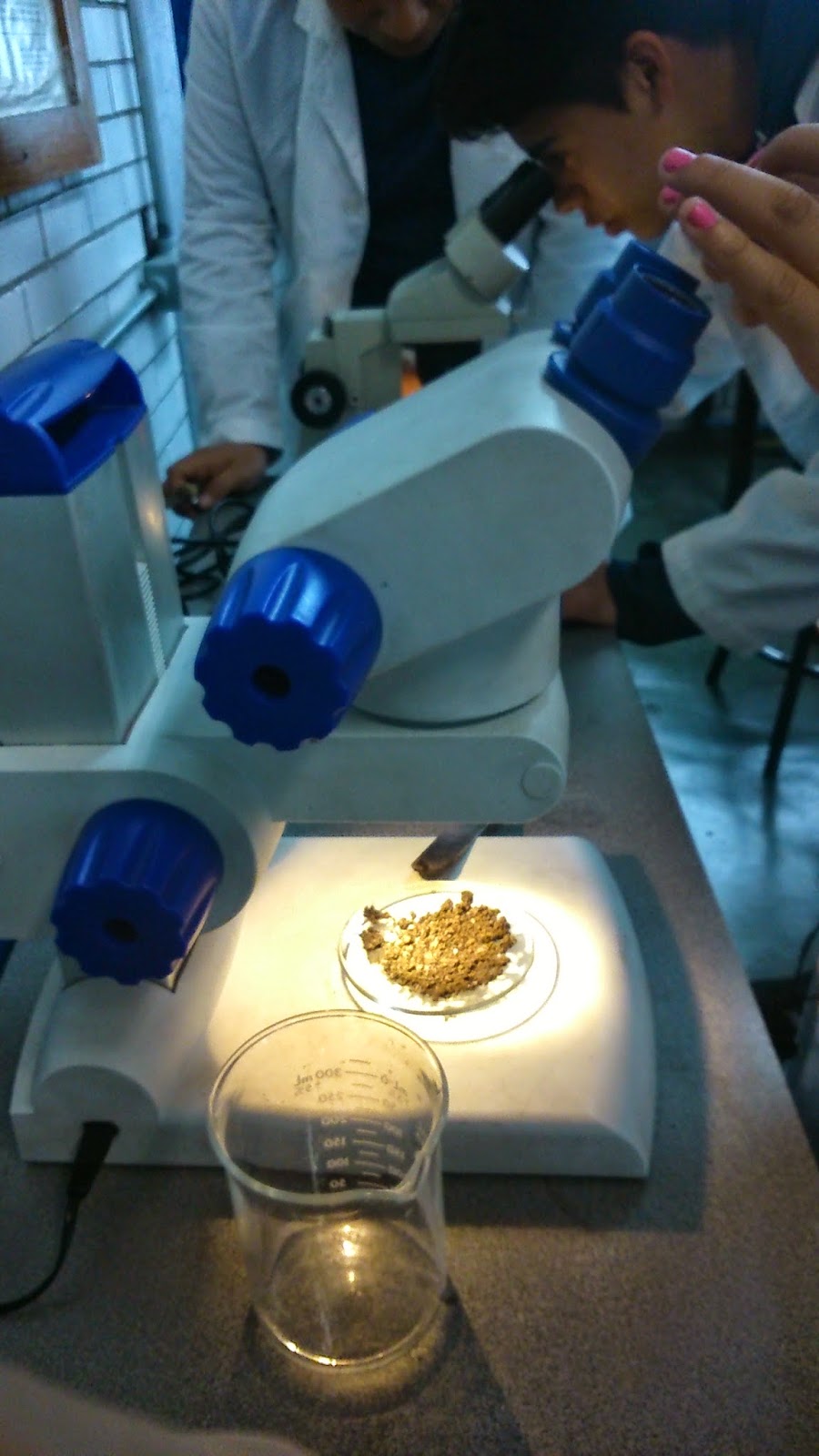 Quimica: Practica #3 observación de muestra de suelo